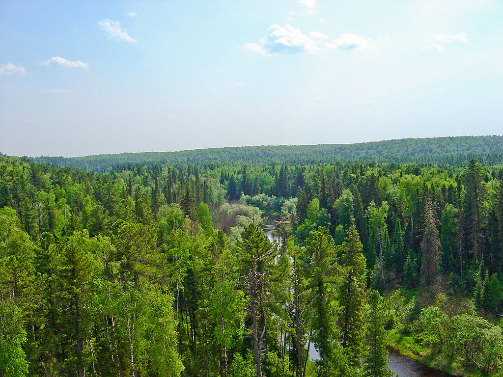 Fichier:Taiga (Russia), boreal forest-Taïga (Russie), forêt boréale.jpg ...