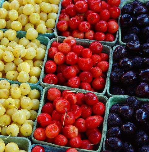 Cerise — Wikimini, l’encyclopédie pour enfants