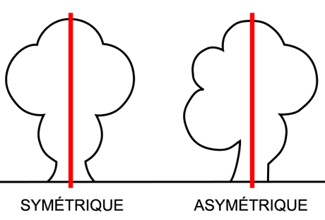 Symétrie — Wikimini, l’encyclopédie pour enfants