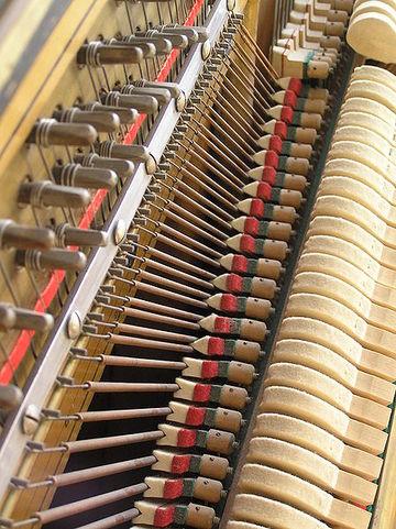 Instrument à cordes — Wikimini, l’encyclopédie pour enfants